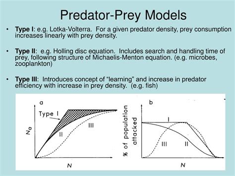 Ppt Population Interactions Powerpoint Presentation Free Download