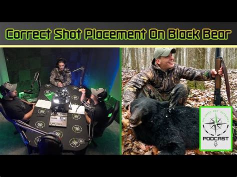 Black Bear Anatomy Shot Placement Shot Placement Stuff