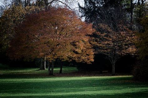 녹색 잔디 필드에 앉아 사람들 · 무료 스톡 사진