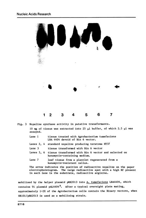 Binary Agrobacterium Vectors For Plant Transformation Pmc