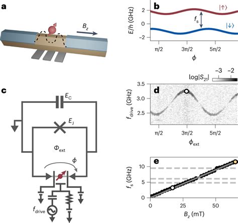 asq a schematic of an asq in a hybrid superconductor semiconductor