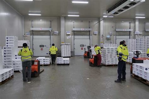 What Is Temperature Controlled Transport At Lucile Hart Blog