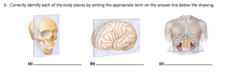 biol 331 lab 1 flashcards quizlet