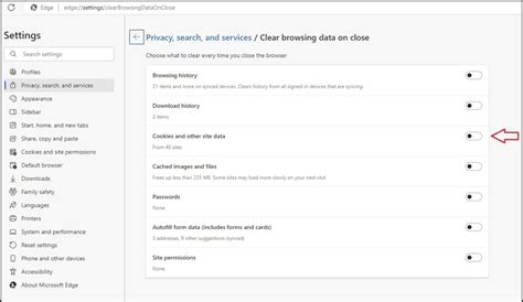 Browser Privacy Settings Safety Observer