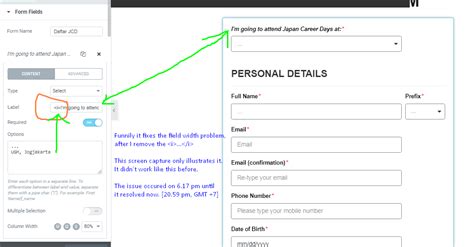 Bug In Setting The Column Width Within The Forms Widget · Issue 6197