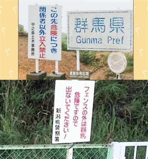 Imgur The Magic Of The Internet