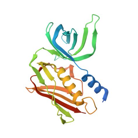 Rcsb Pdb 4ohj Crystal Structure Of Toxic Shock Syndrome Toxin 1