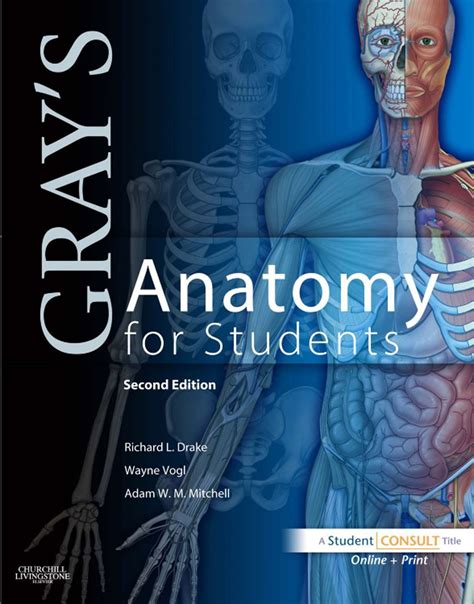 Gray's Anatomy for Students 2nd Edition (eBook Rental) | Greys anatomy ...