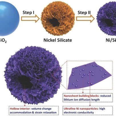 A Schematic Illustration For The Synthesis Of Ni Sio Hierarchical Download Scientific Diagram