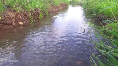 سیزده بدر سبزه گره زدن و دعای باران در روز 13 بدر در ایران طبیعت گردی