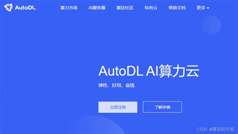 解决autodl远程服务器训练大模型的常见问题：cpu内存不足与 ssh 断开 autodl内存不够 csdn博客