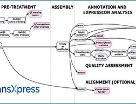 Stringtie Improved Reconstruction Of A Transcriptome From Rna Seq Reads Rna Seq Blog