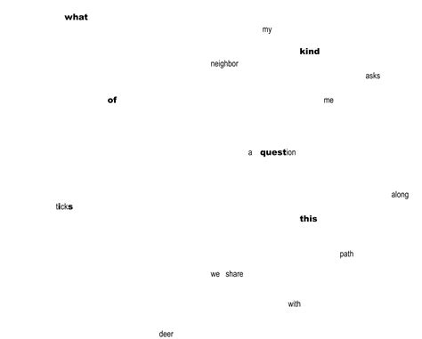 Jody Gladding Poetry — Leaping Clear