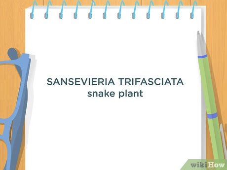 How To Write A Scientific Name Steps With Pictures WikiHow