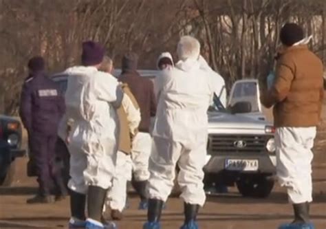 Отново протест пред ферма във Велинград където бе открито огнище на чума