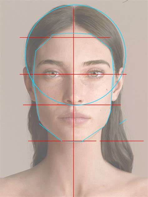 How To Draw Outline Of Face By Grid Method How To Draw Perfect Face Outline Artofit