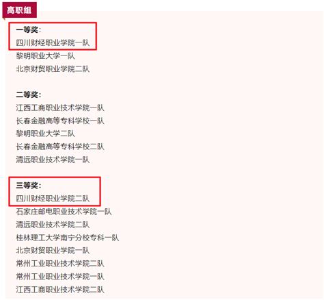 【喜报】商务数据分析与应用专业代表队在“首届全国大学生商业数据分析与应用大赛”中喜获佳绩 信息学院
