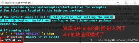 Git Bash 中粘贴失效问题gitbash不能粘贴 Csdn博客
