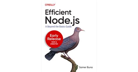 8 Testing Node Efficient Node Js [book]