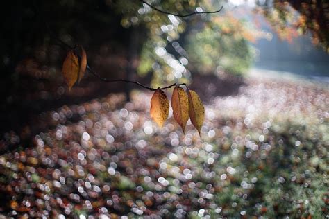 Smc Takumar 50mm F1414 Radoslav Tej Flickr 50mm Photography