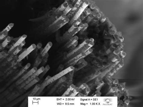 Photomicroscopy Electronics Sem Of Cfrp Plane Pw Plain Weave Download Scientific Diagram