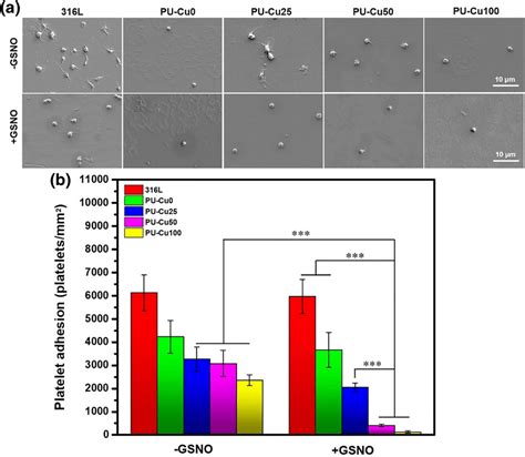 A Scanning Electron Microscopy Results And B Platelet Count Results Download Scientific