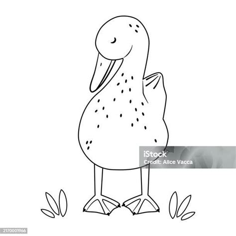 귀여운 손으로 그린 흑백 만화 캐릭터 오리 벡터 일러스트 레이 션은 색칠 예술을 위해 흰색 배경에 고립되어 있습니다 깃털에 대한