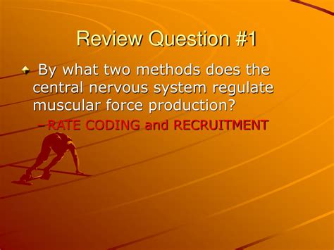 PPT Endocrine System And Exercise PowerPoint Presentation Free Download ID 773003