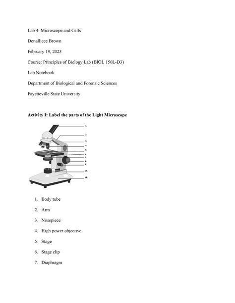 Lab 4 Microscope And Cells Lab 4 Microscope And Cells Donalliece Brown February 19 2023
