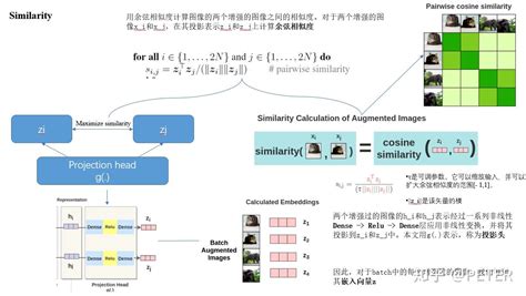 对比学习 a simple framework for contrastive learning of visual