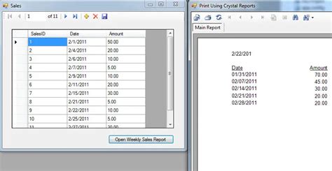 weekly sales report using crystal reports sourcecodester