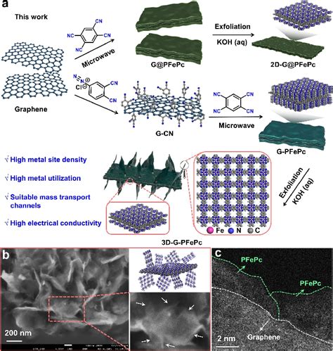 A Schematic Illustration Of The Overall Synthetic Procedure For Download Scientific Diagram