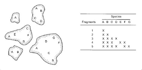 diagrammatic representation of a nested subset species poor fragments