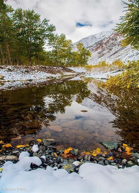 ЦОГТ ЦЭЦИЙ СУМ ШУУРХАЙ ЗАРЫН ТӨВ ЦЭГ УБ ЦЦ хүн ба ачаа дайвар авч явна 88925427 нарантуул захаас