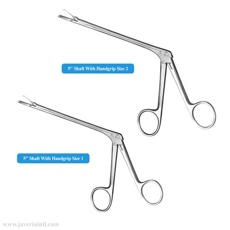 Struycken Cutting Forceps Javeria International