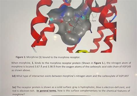 Solved 1 The Structure Of Morphine 1 Is Shown Below 2
