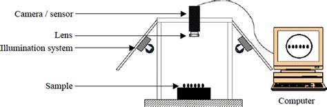 Assessment Of Seed Quality Using Non Destructive Measurement Techniques A Review Seed Science