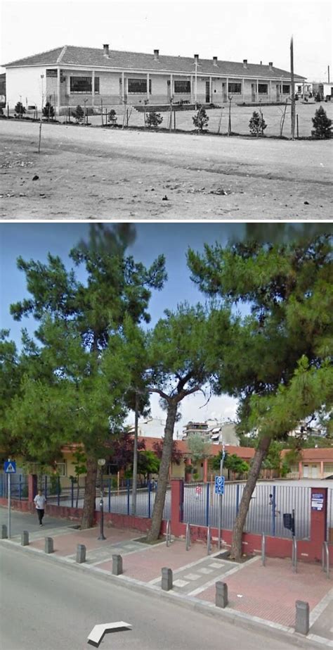 30 Impressive Progress Photos Of Trees Growing Up And Making Spaces Greener | Bored Panda