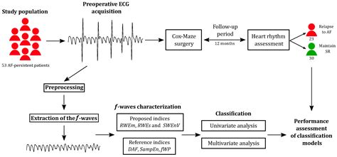 Novel Entropy Based Metrics For Long Term Atrial Fibrillation