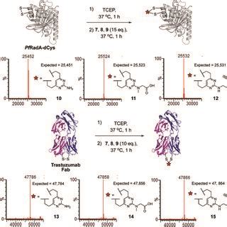 Reaction Conditions And Subsequent LC MS Analysis For A Modification Download Scientific