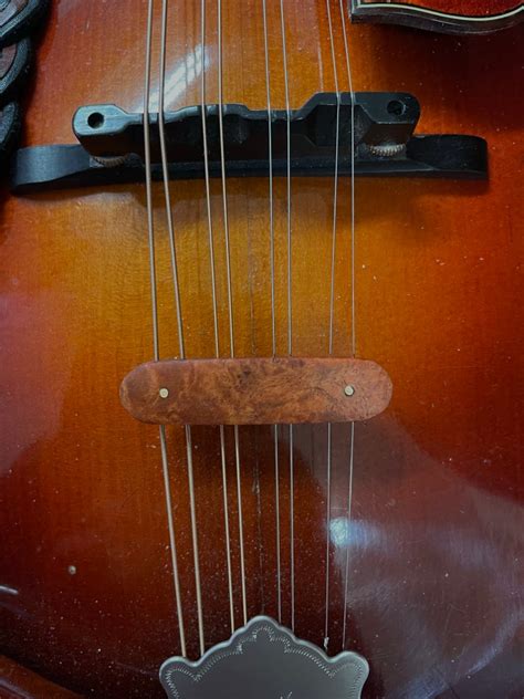 Box Elder Burl String Suppressor Hill Country Stringworks Box Elder Burl String Suppressor Hill Country Stringworks