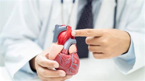 How To Manage Heart Health After Bypass Surgery Onlymyhealth