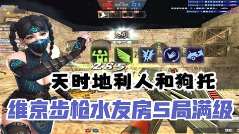 【csol】5局满级薄纱水友—维京步枪mk称霸生化z！！看到昊京就可以挂机了！ Youtube