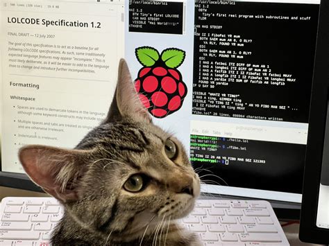 5055 Best Programmers Images On Pholder Programmer Humor