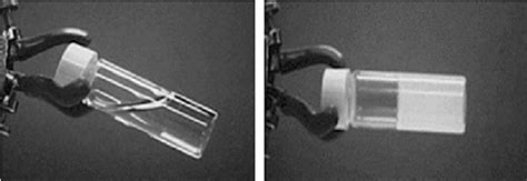 The Cs Gp Formulation At Room Temperature Left And At 37 C Right Download Scientific