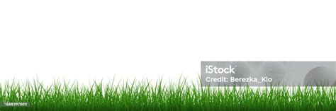 Green Grass Repeat Texture Vector Stock Illustration Download Image