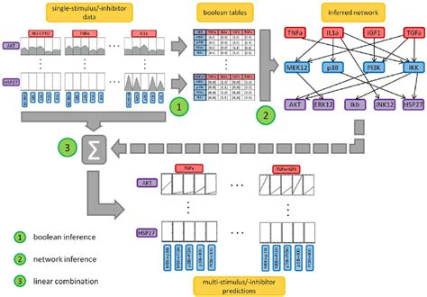 Workflow Representing The 3 Steps Of The Method 1 Boolean Inference Download Scientific