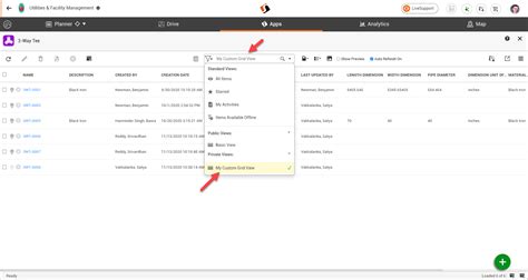 How To Add Columns To The Grid And Create A Custom App Grid View