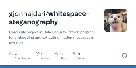 Github Gjonhajdariwhitespace Steganography University Project In