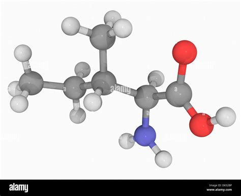 Isoleucine hi-res stock photography and images - Alamy